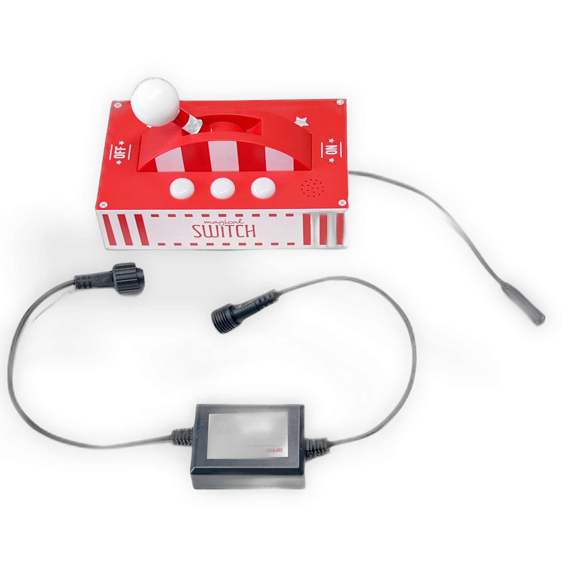 Accessible Play Switch Toys